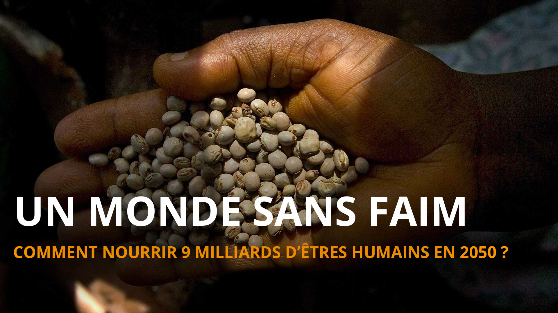 Un monde sans faim - L'Esprit Sorcier - Dossier #19